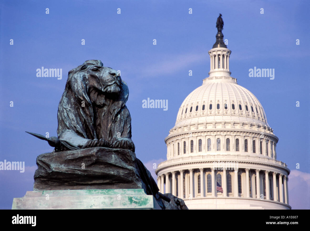 US Capitol Building in Washington D.C Stock Photo - Alamy