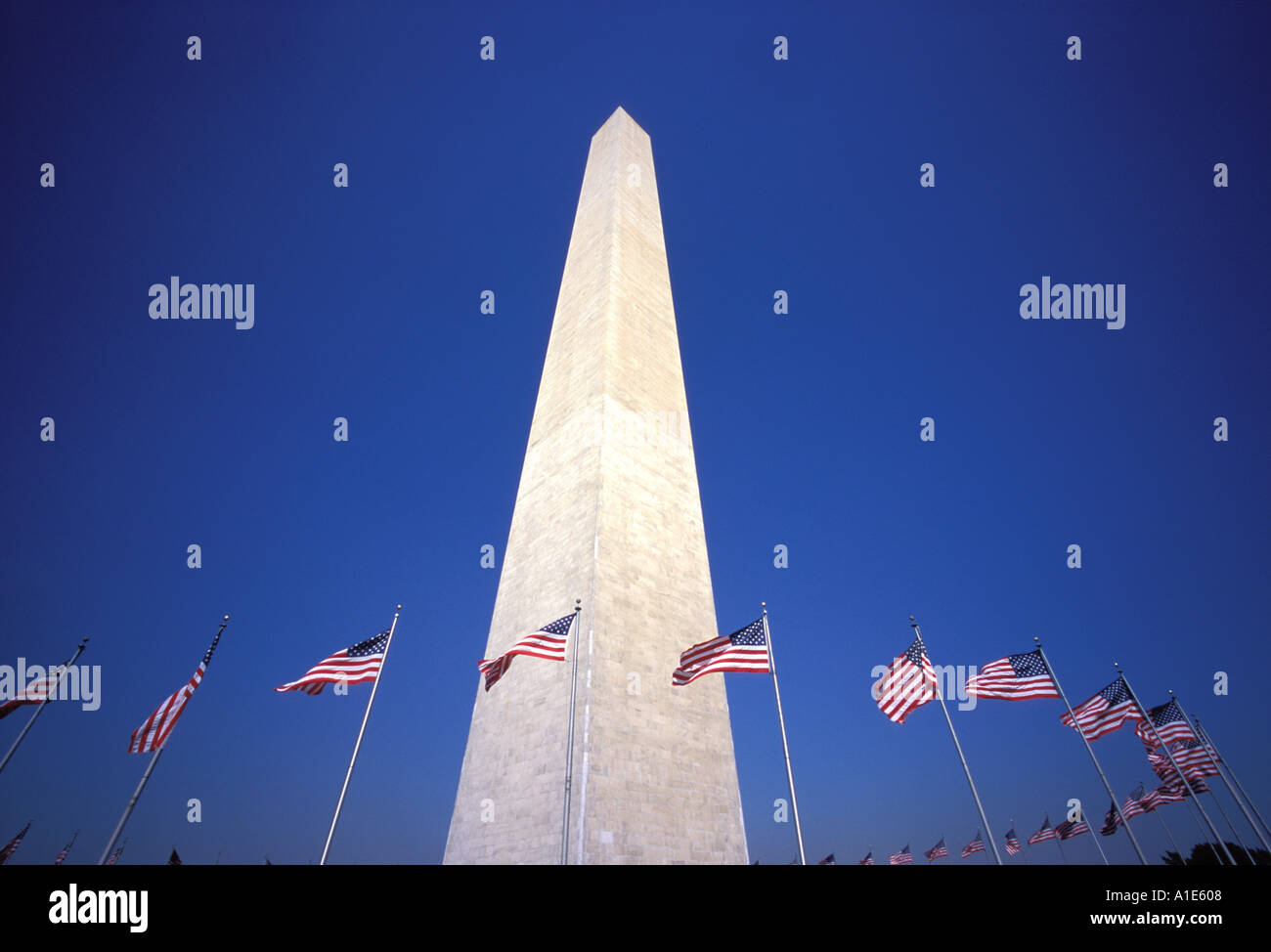 Washington dc flags hi-res stock photography and images - Alamy