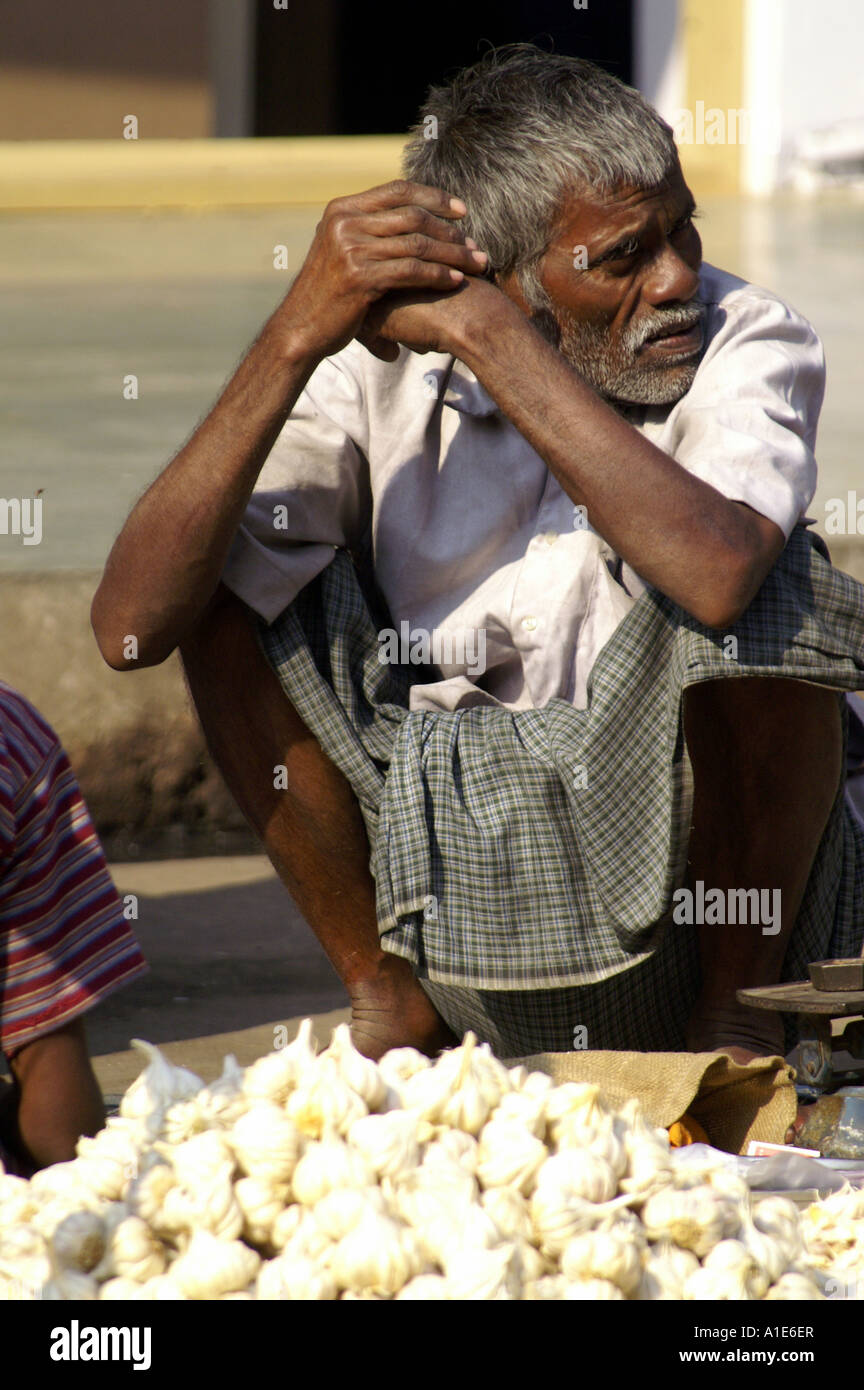 Indian old man selling garlic in stall at Paharganj street vegetable ...