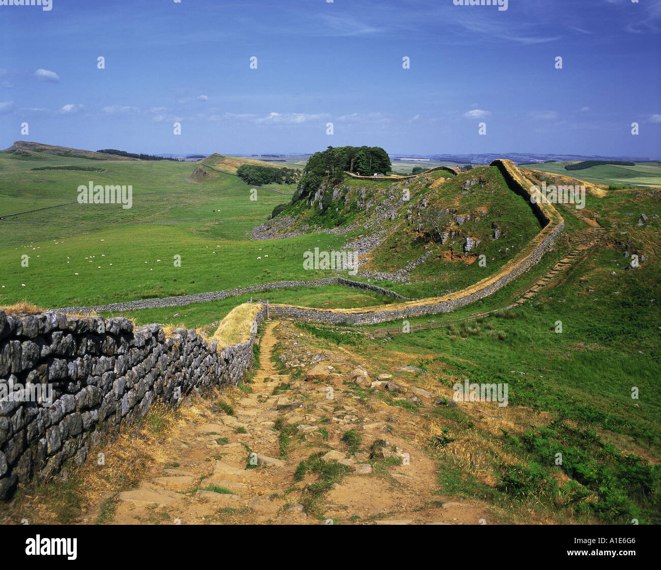 Roman soldiers and hadrian's wall hi-res stock photography and images ...