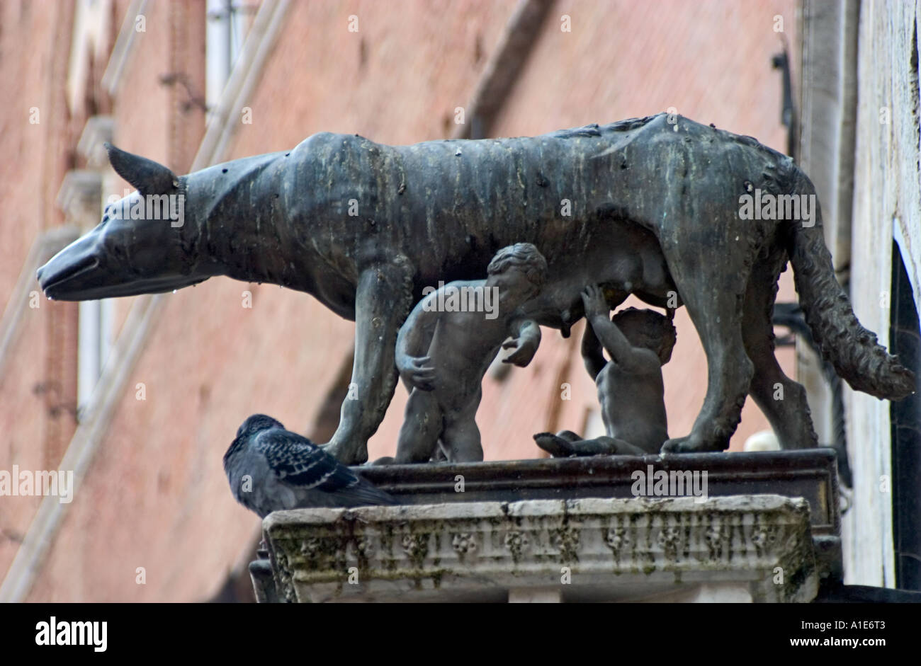 Statue of Romulus Siena Italy Stock Photo - Alamy