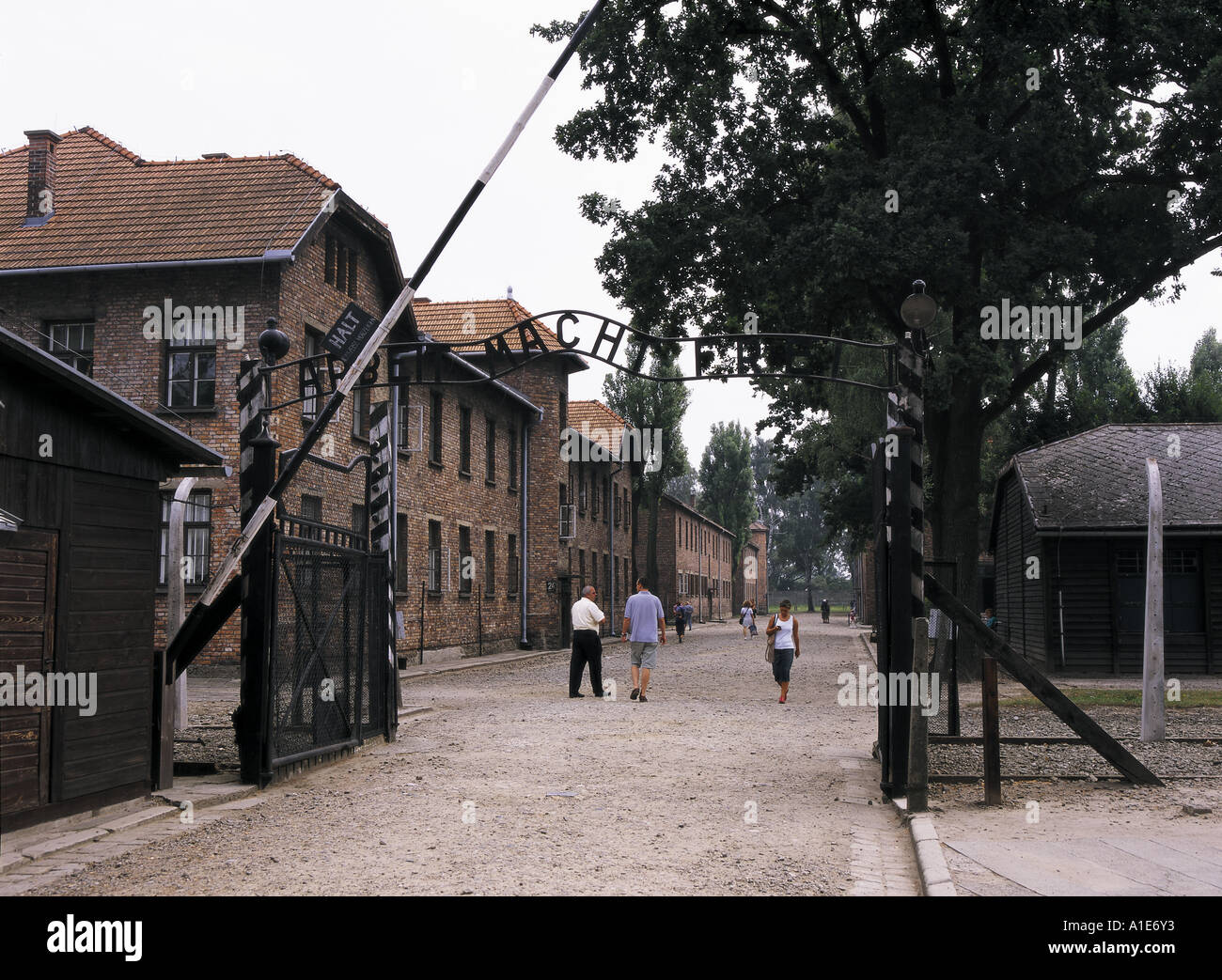 Main gate of Auschwitz Concentration Camp in Poland Stock Photo - Alamy