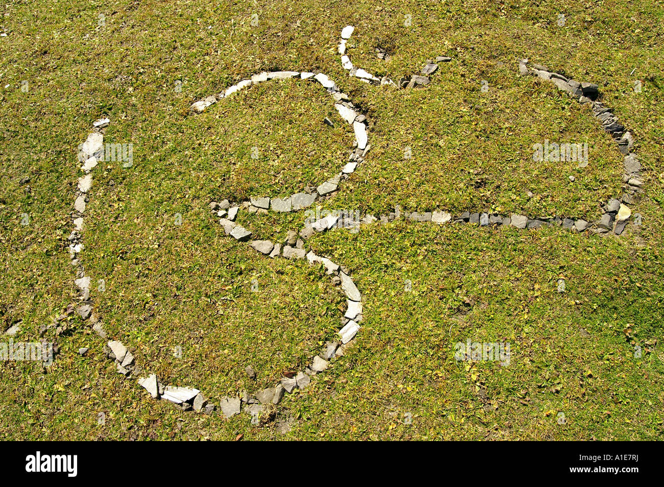 Chandra Kanni pass alpine meadow with OM holy symbol, Indian Himalaya ...