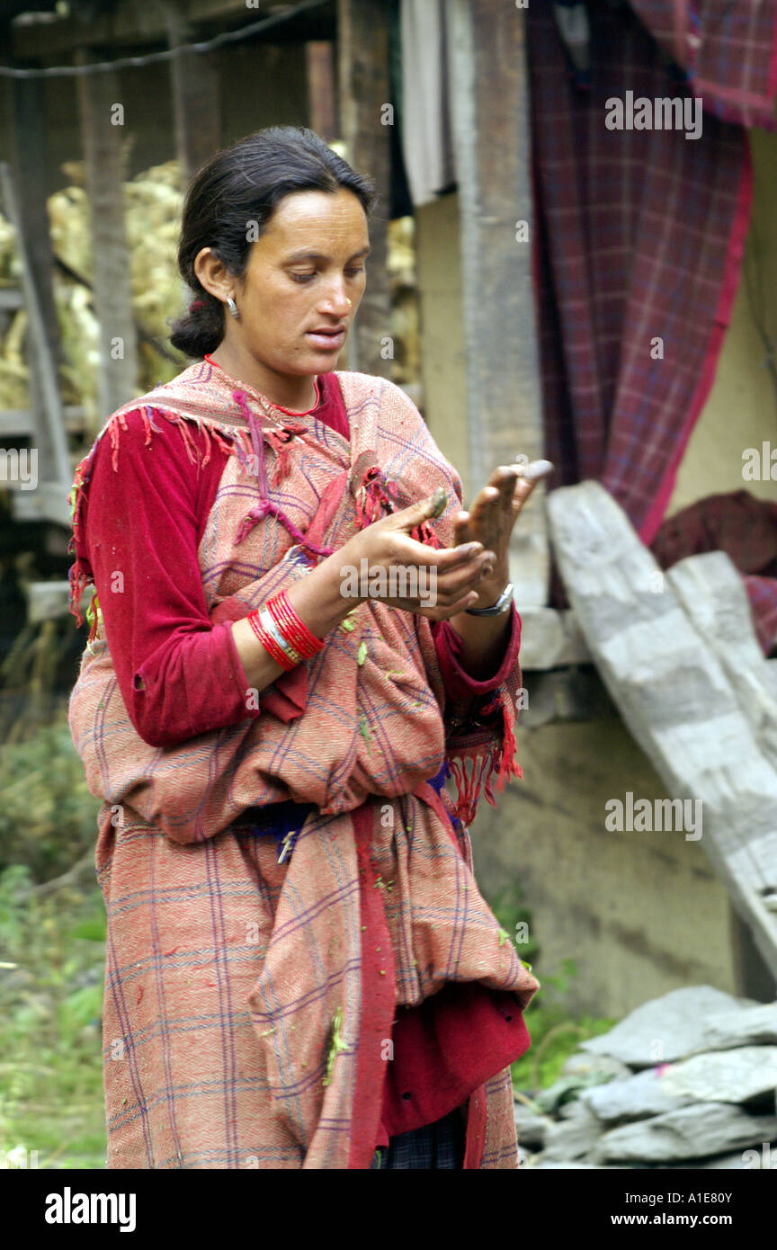 Malanese woman scrubbing hashish resin from her palms - traditional ...