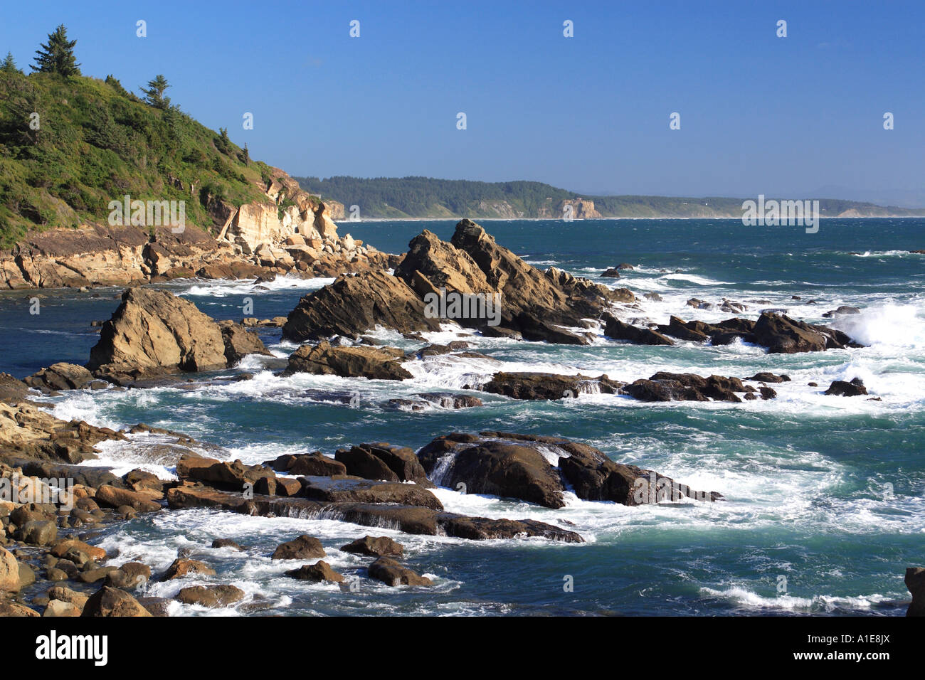 Cape Arago, USA, Oregon, Cape Arago State Park Stock Photo - Alamy
