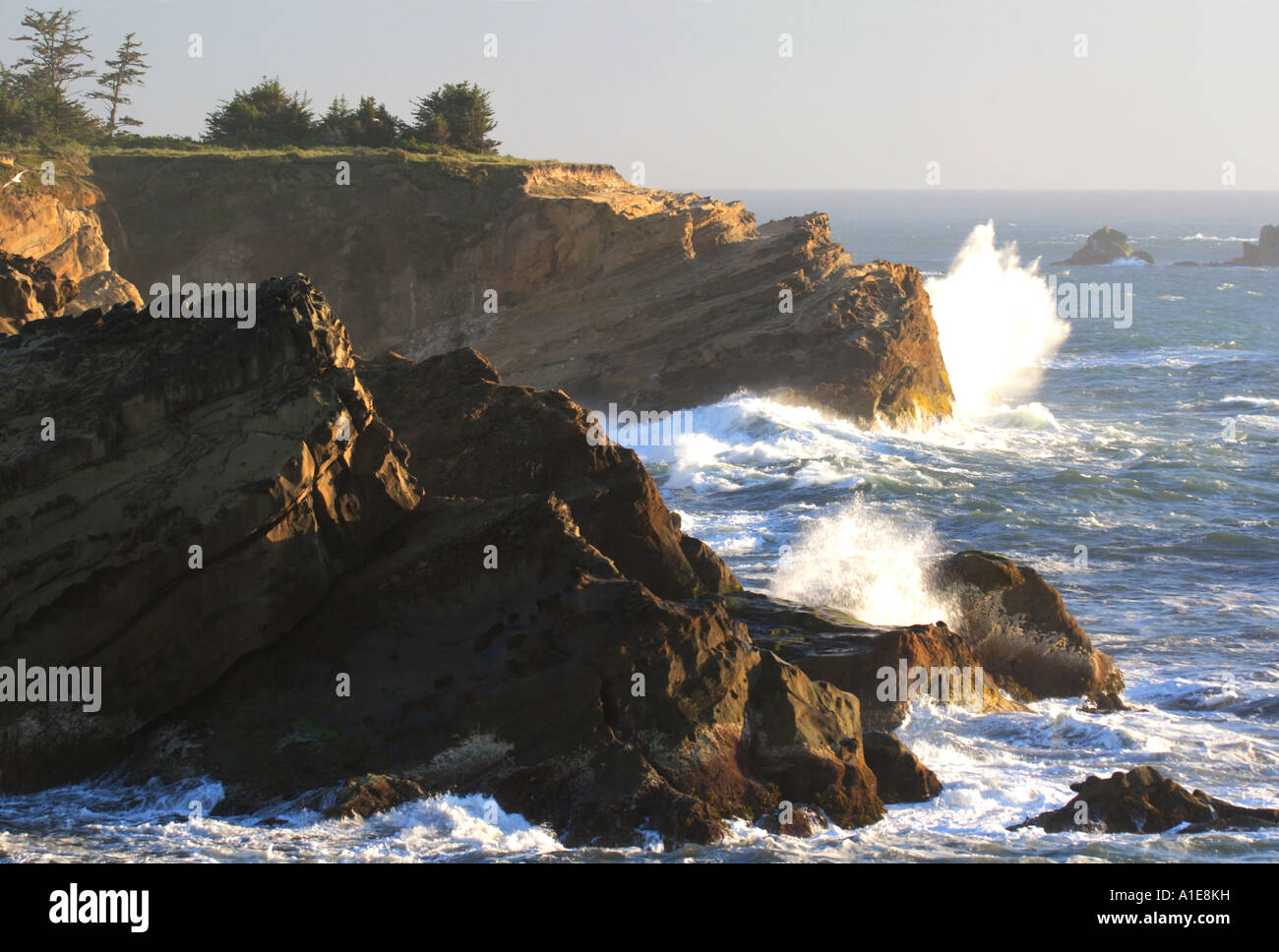 Cape Arago, USA, Oregon, Cape Arago State Park Stock Photo - Alamy