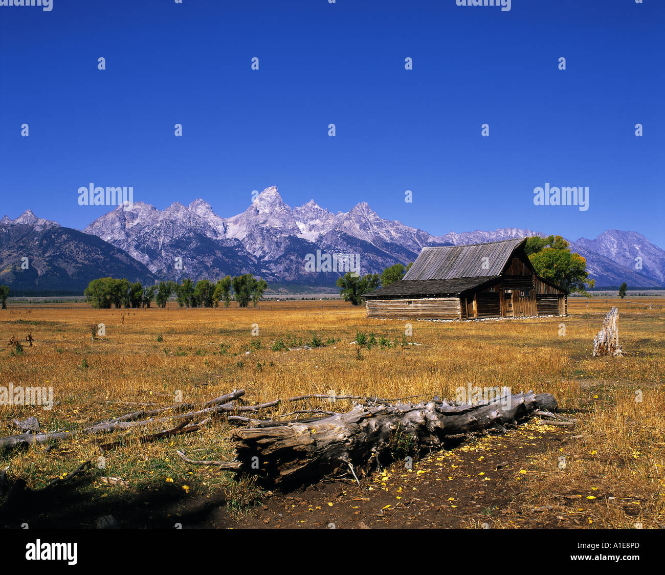 Jackson hole barn hi-res stock photography and images - Alamy