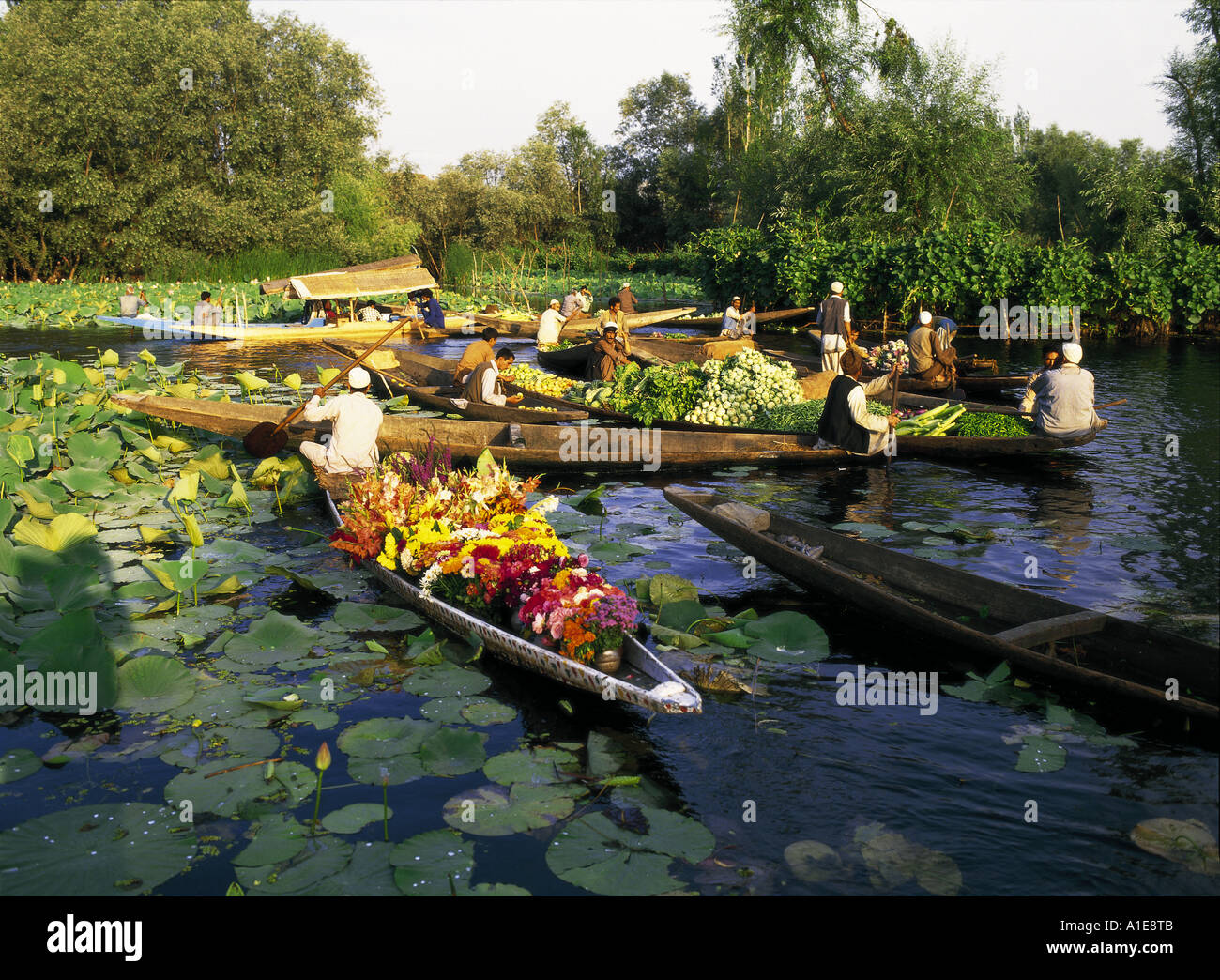 Floating market on Dal Lake at Srinagar in Kashmir India Stock Photo ...