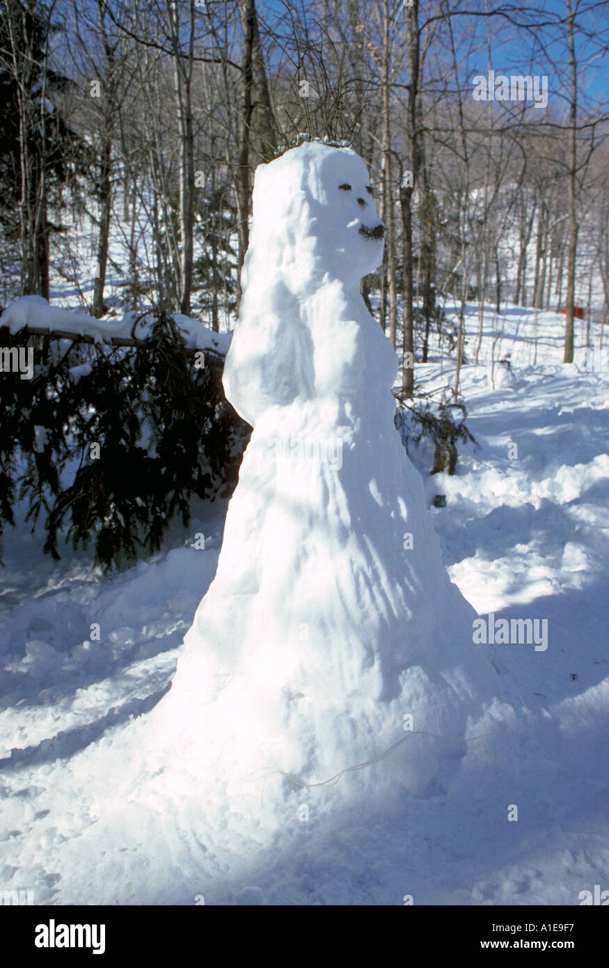 Snowwoman hi-res stock photography and images - Alamy