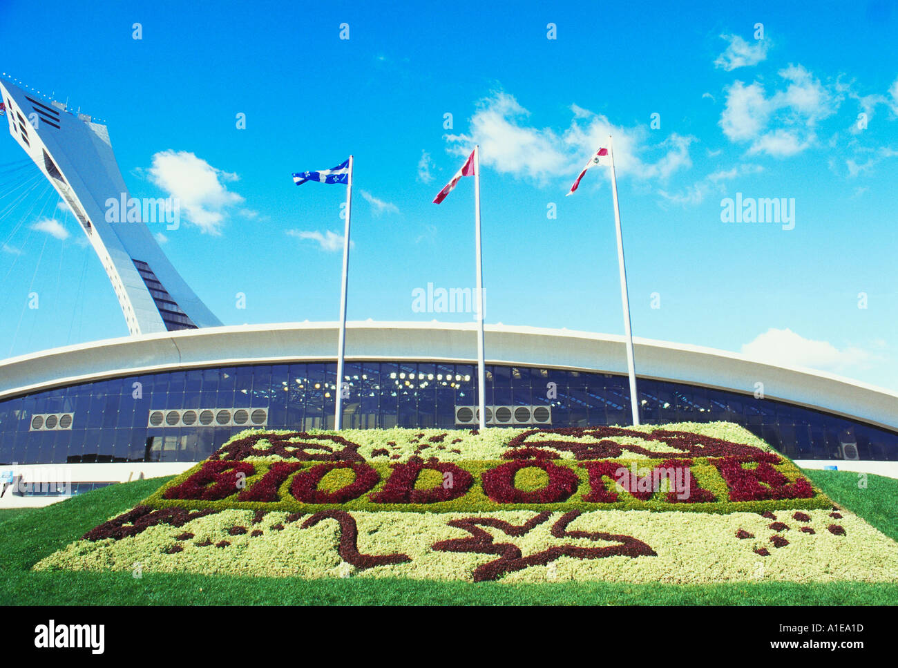 Rainforest biodome hi-res stock photography and images - Alamy