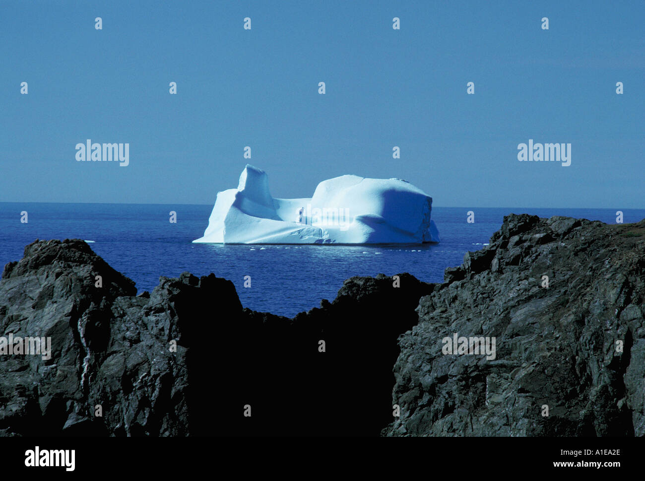 Iceberg Newfoundland extensive collection of iceberg glacier and ...