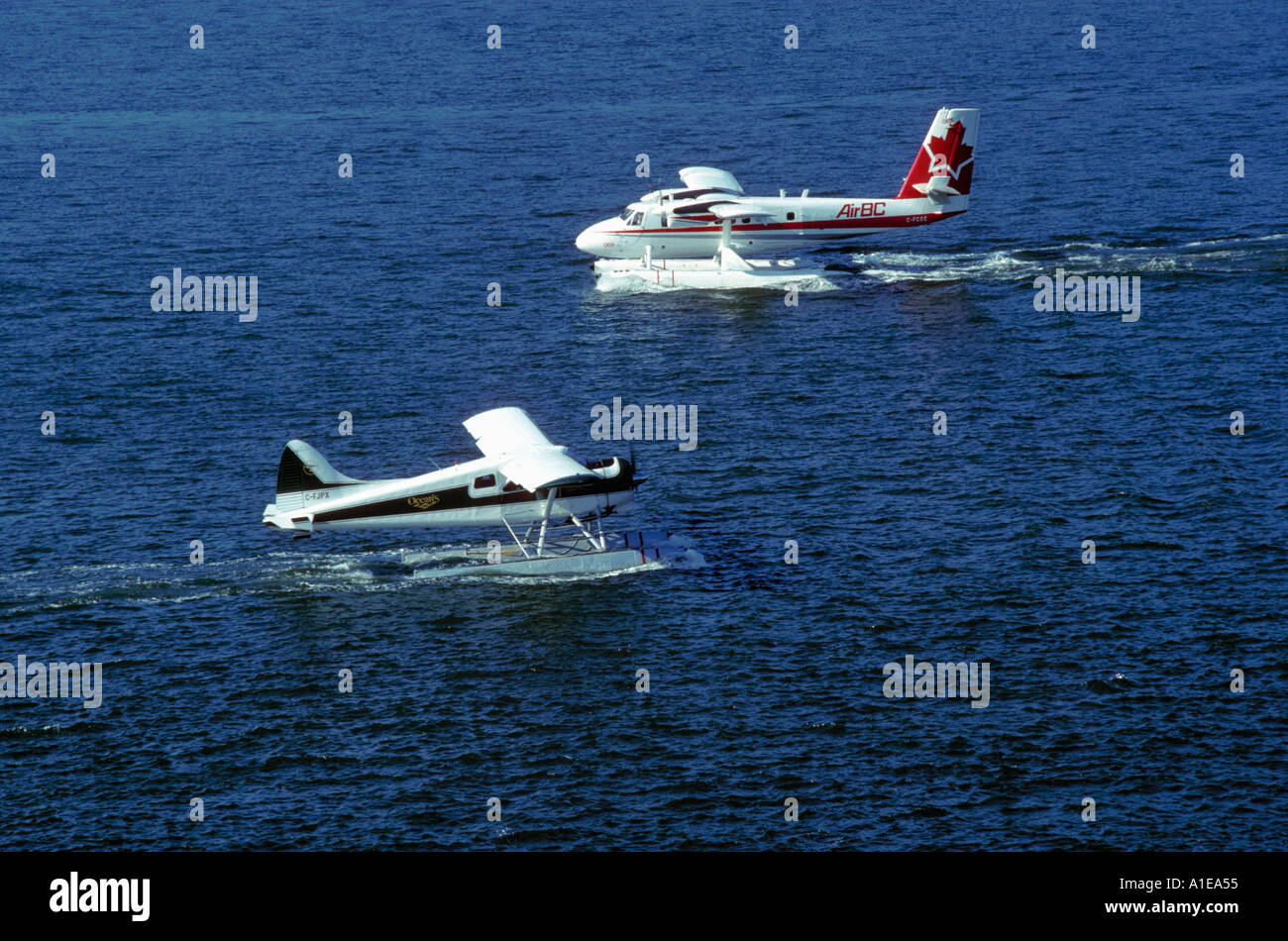 Seaplanes on water Stock Photo - Alamy