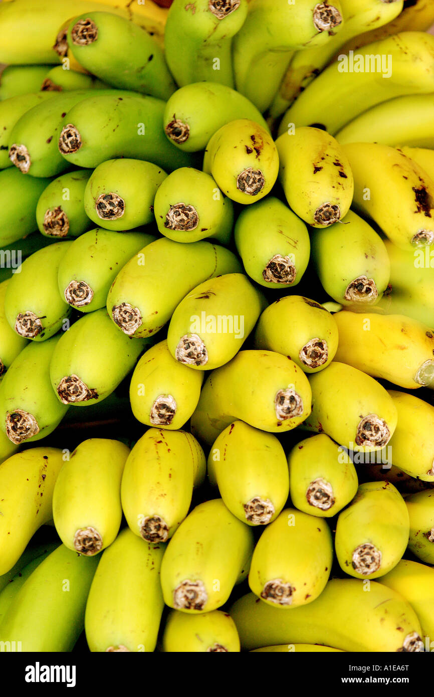 banana (Musa paradisiaca), detail of the fruits Stock Photo - Alamy