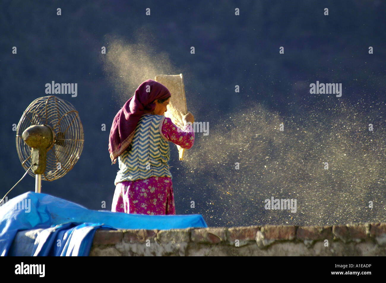 Indian electric fan hi-res stock photography and images - Alamy