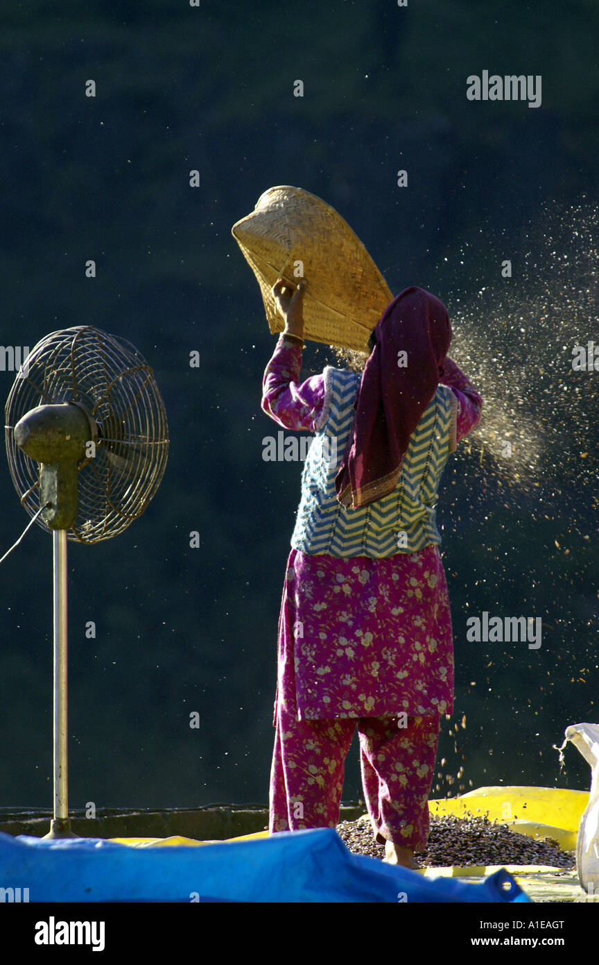 Husk roof hi-res stock photography and images - Alamy