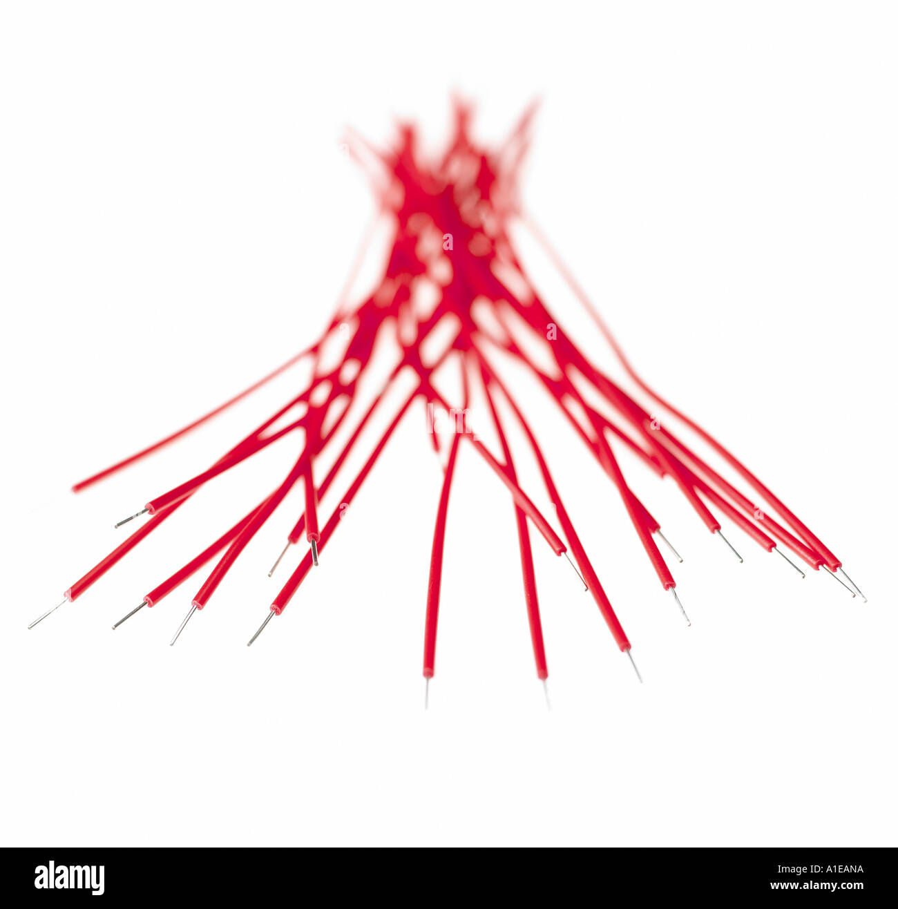 Scattered bunches hi-res stock photography and images - Alamy