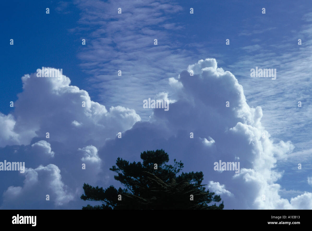 Cumulus over stratus hi-res stock photography and images - Alamy