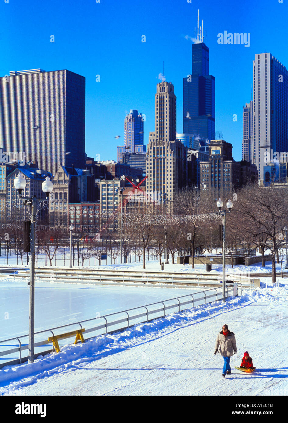 Chicago Millenium Park Winter