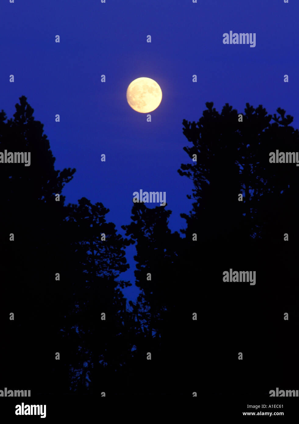 Moon at night Stock Photo - Alamy