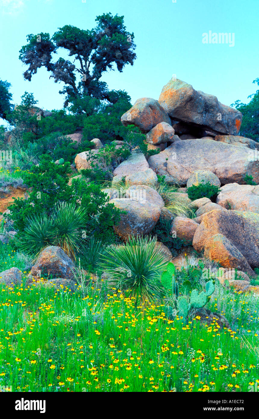 Enchanted Rock State Park Fredericksburg Texas Stock Photo - Alamy