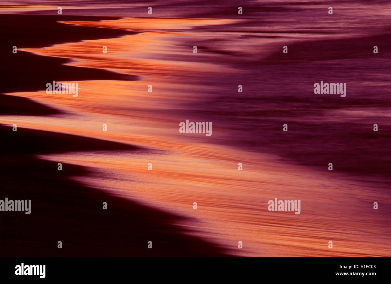 Sunset colors reflected in wet sand Home Beach N Stradbroke Island ...
