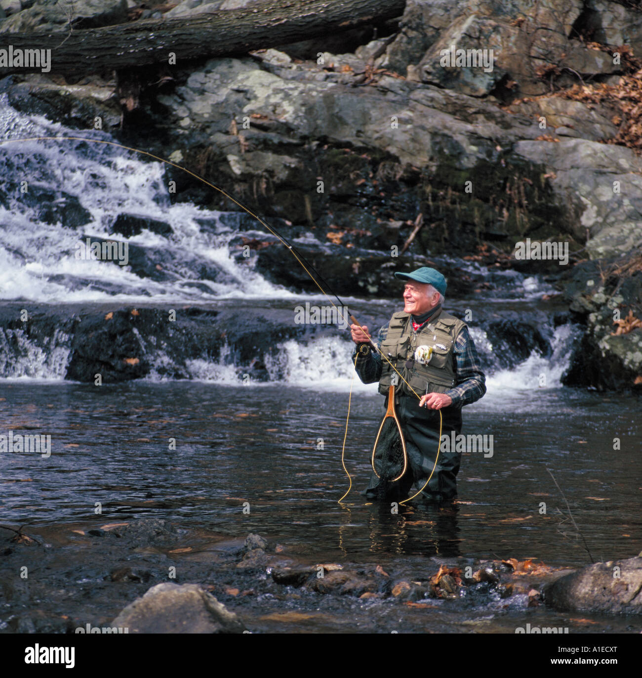 Fish living in the rocks hi-res stock photography and images - Alamy