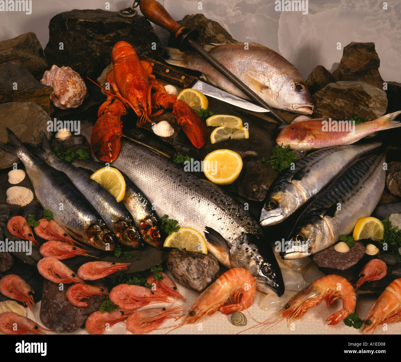 Display of fish and seafood Stock Photo - Alamy