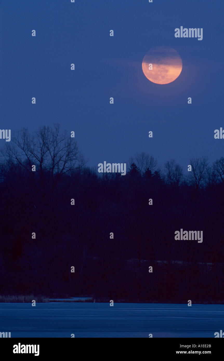 rising full moon over lake and trees Stock Photo - Alamy