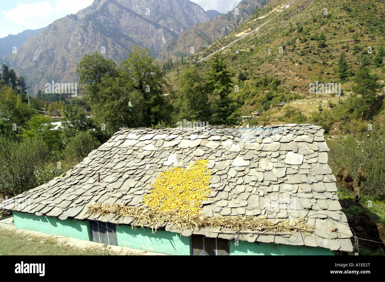 Traditional house with slate rock roof adn sun drying corn in Parvati ...