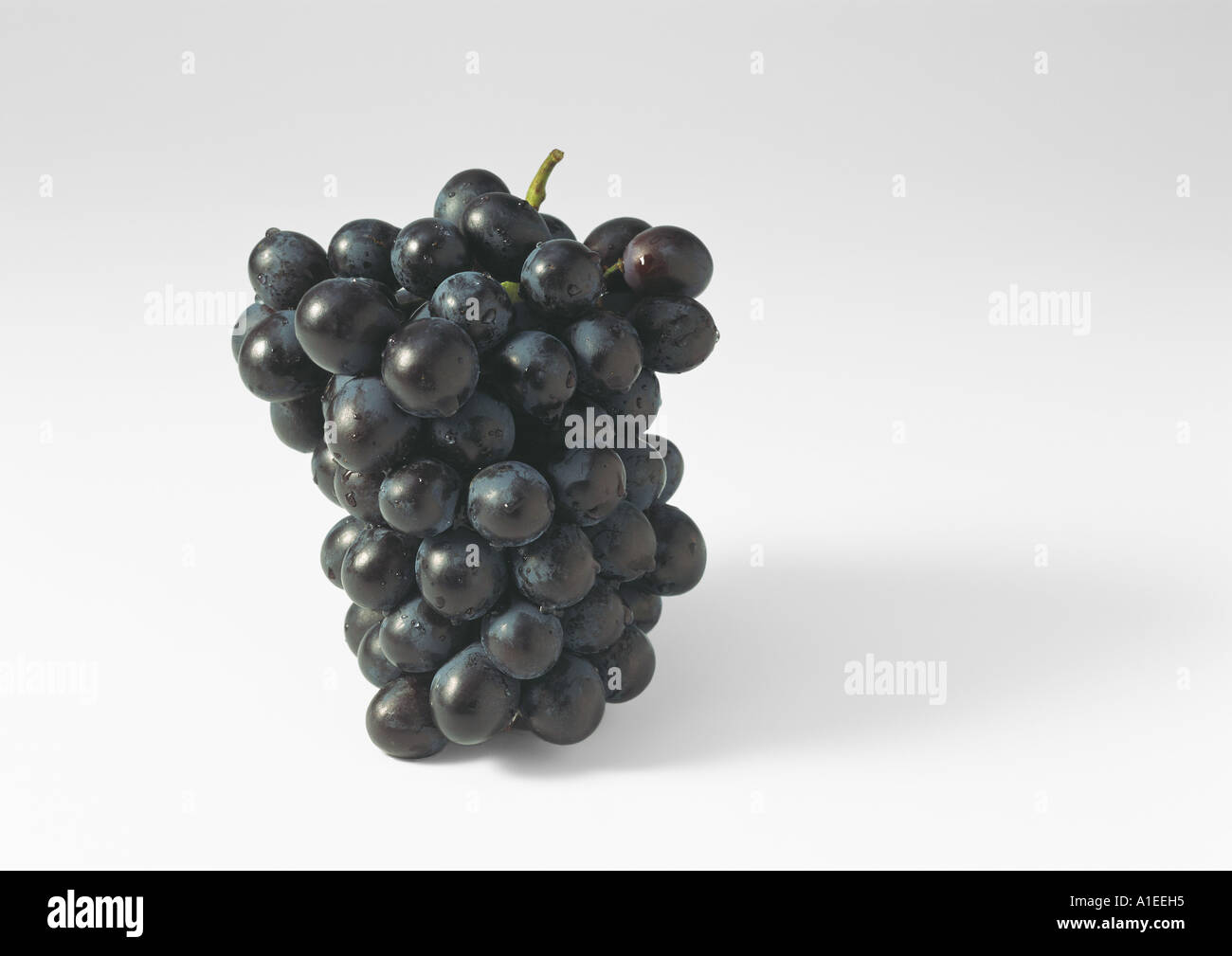 Empty fruit bunches hi-res stock photography and images - Alamy