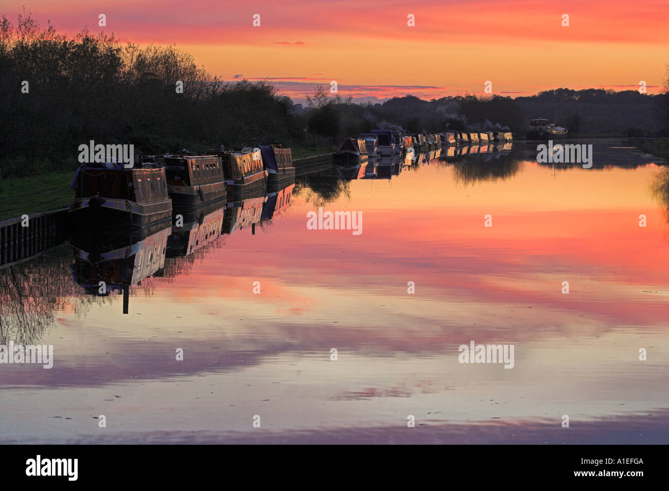 Slimbridge and sharpness hi-res stock photography and images - Alamy