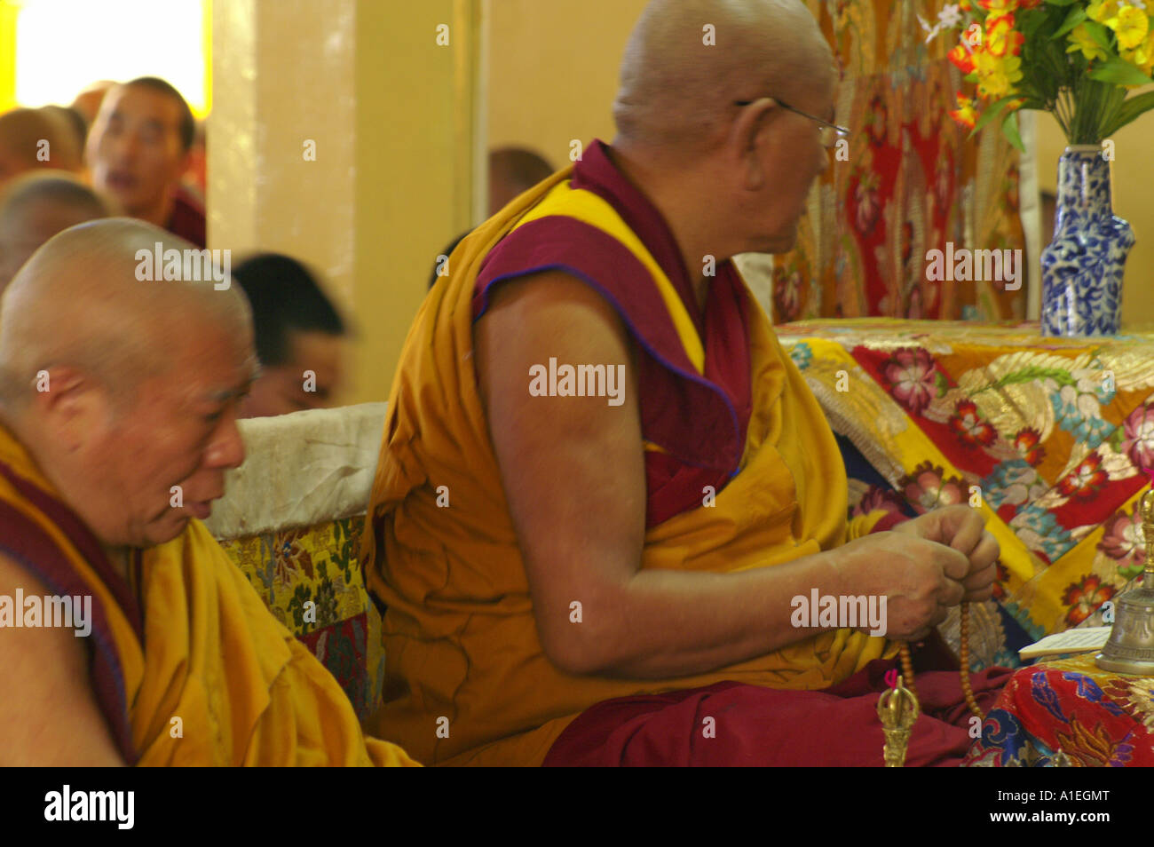 High rank priest gathering in Namgyal monastery, McLeod Ganj, during ...