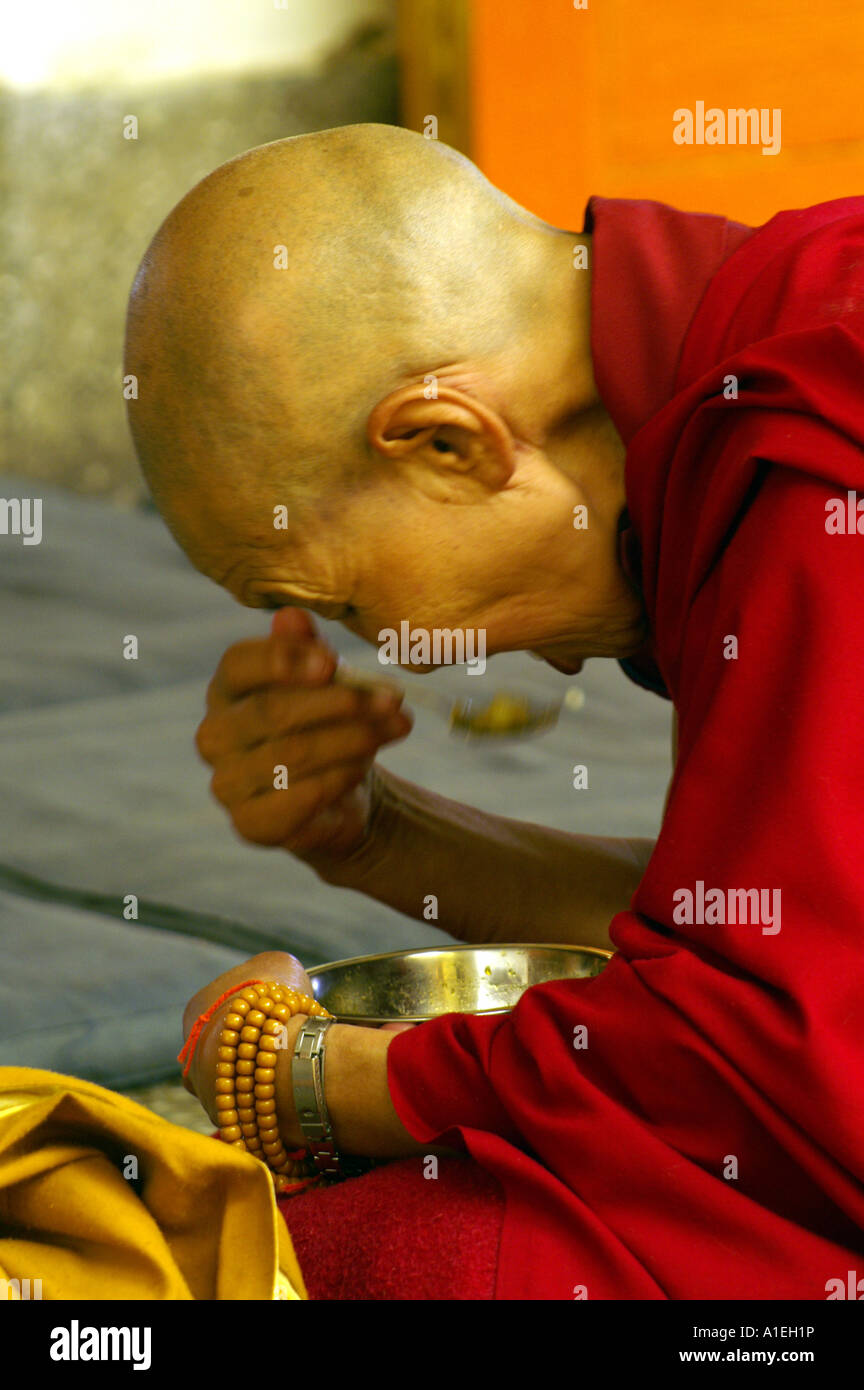 Female buddhist monk eating her lunch soup from stainless steel plate ...