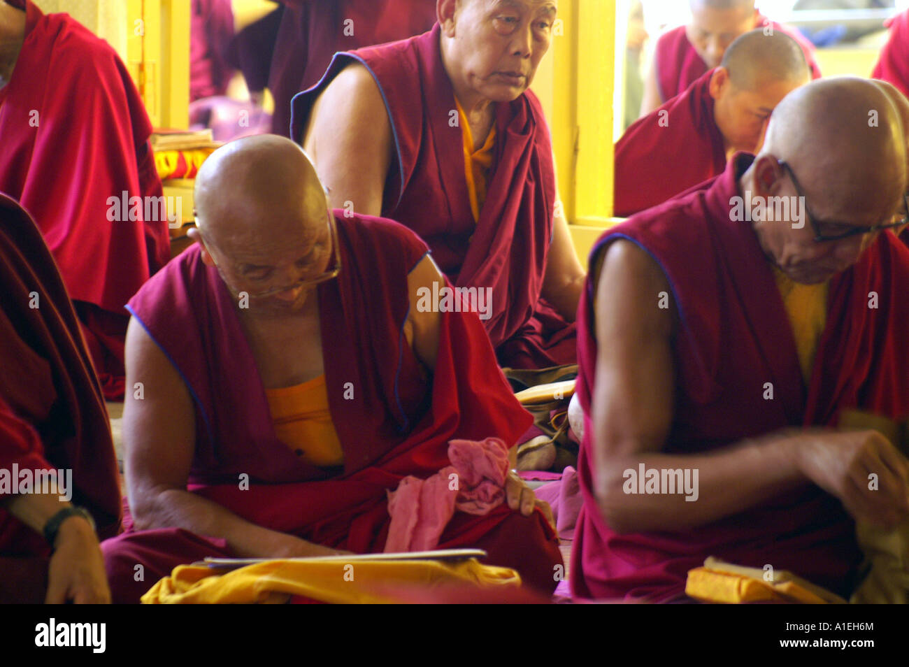 High rank priest gathering in Namgyal monastery, McLeod Ganj, during ...