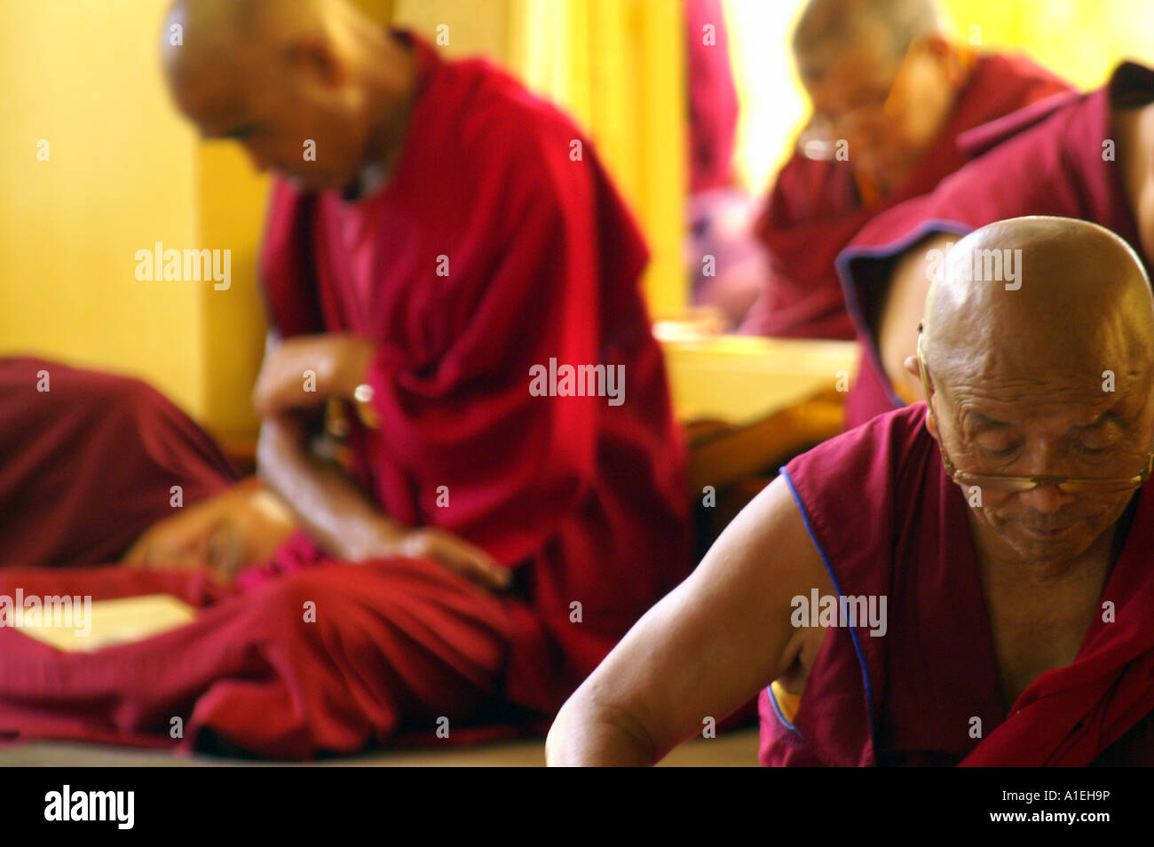 Monks reading book hi-res stock photography and images - Alamy