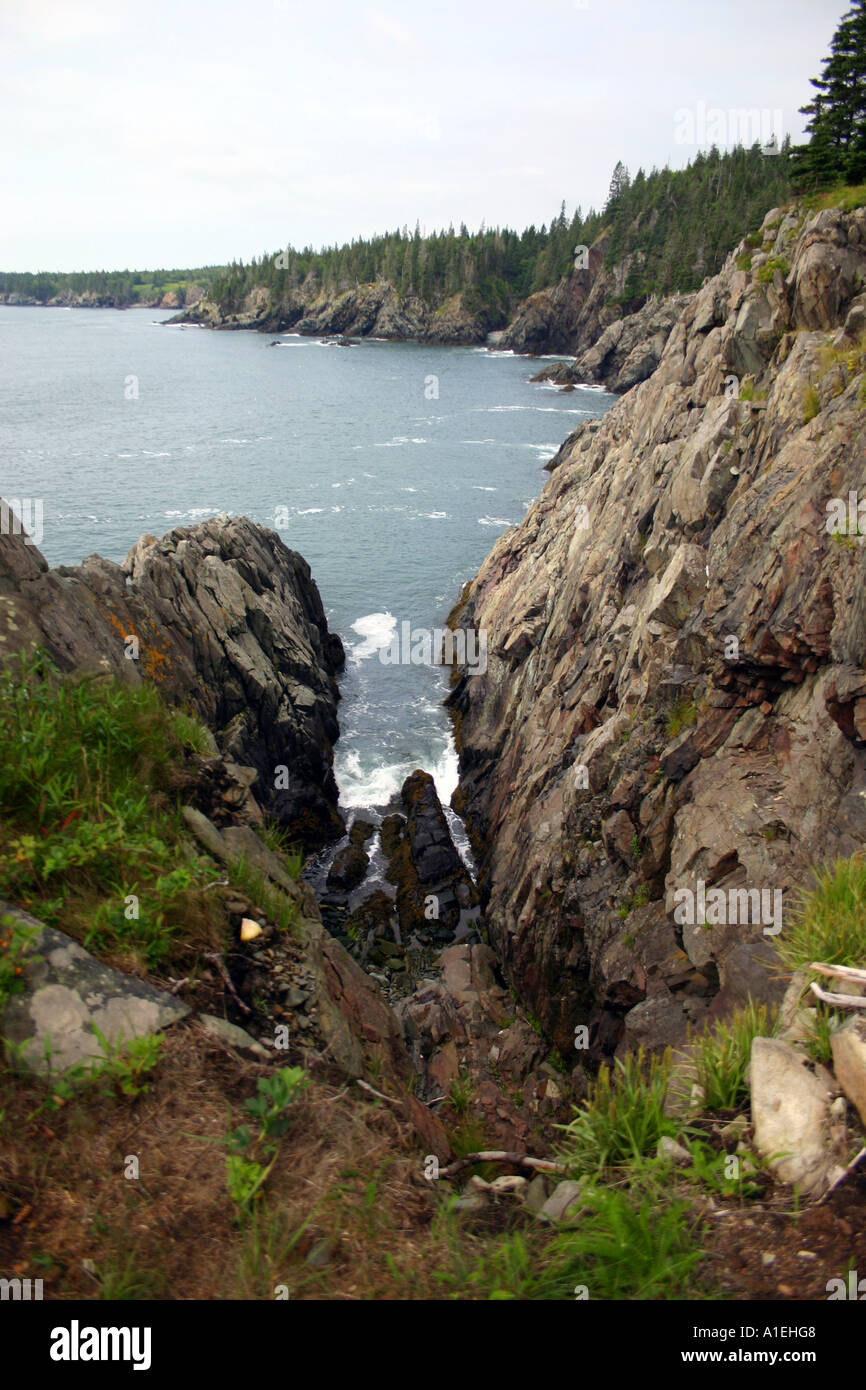 Cutler coast trail hi-res stock photography and images - Alamy