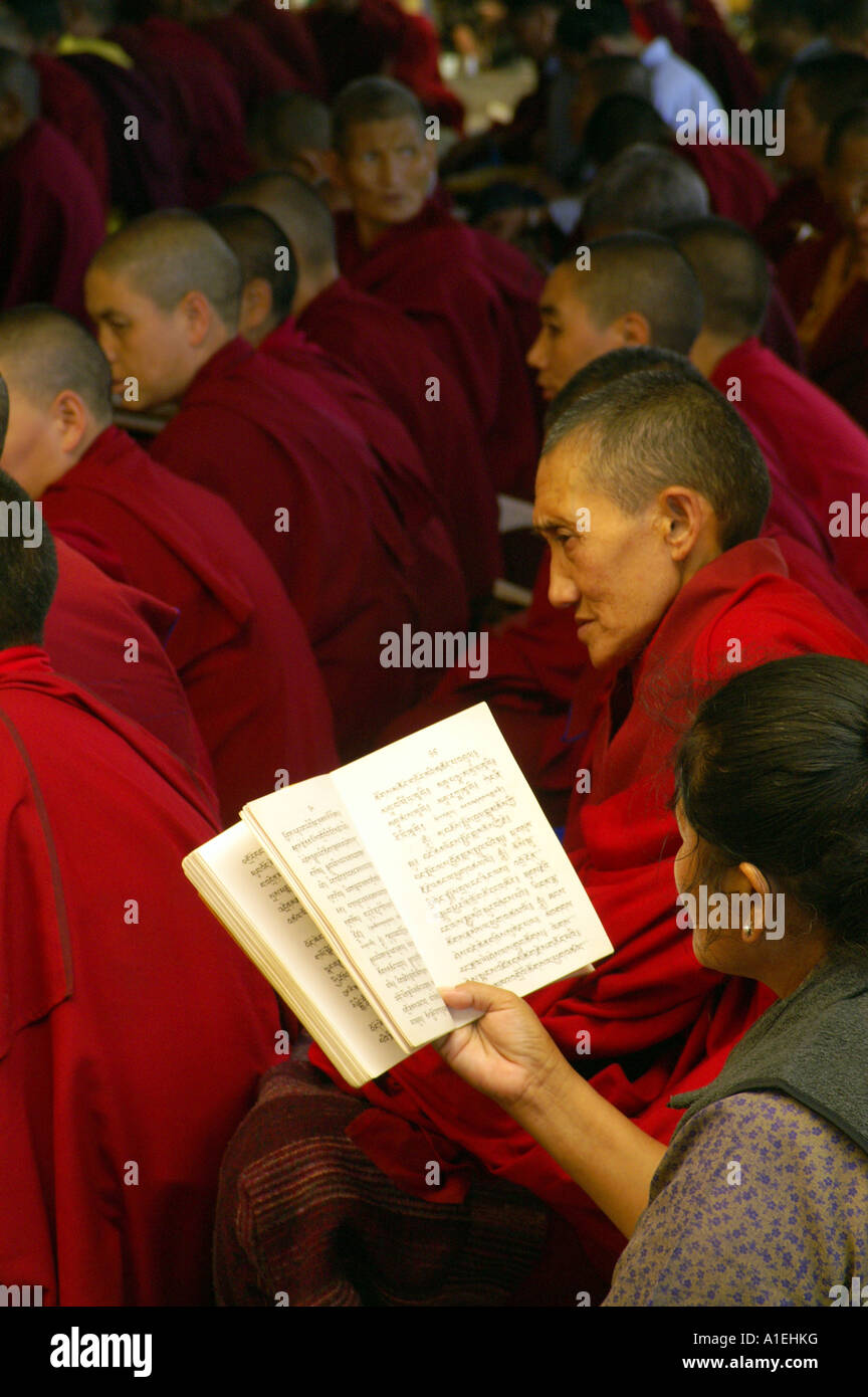 Monks in Namgyal monastery reading book during prayers, McLeod Ganj ...