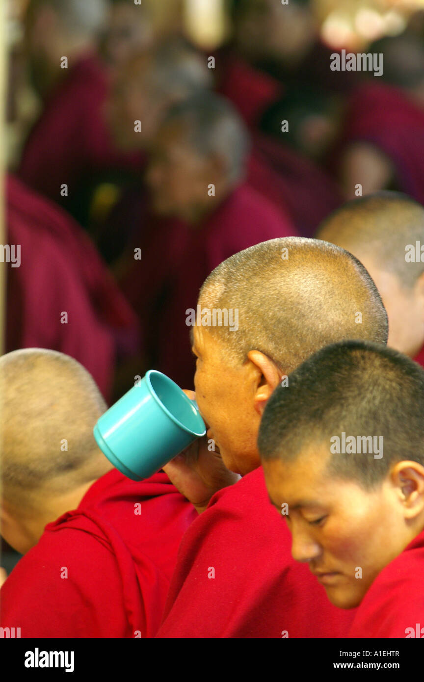 Tea drinking monk hi-res stock photography and images - Alamy
