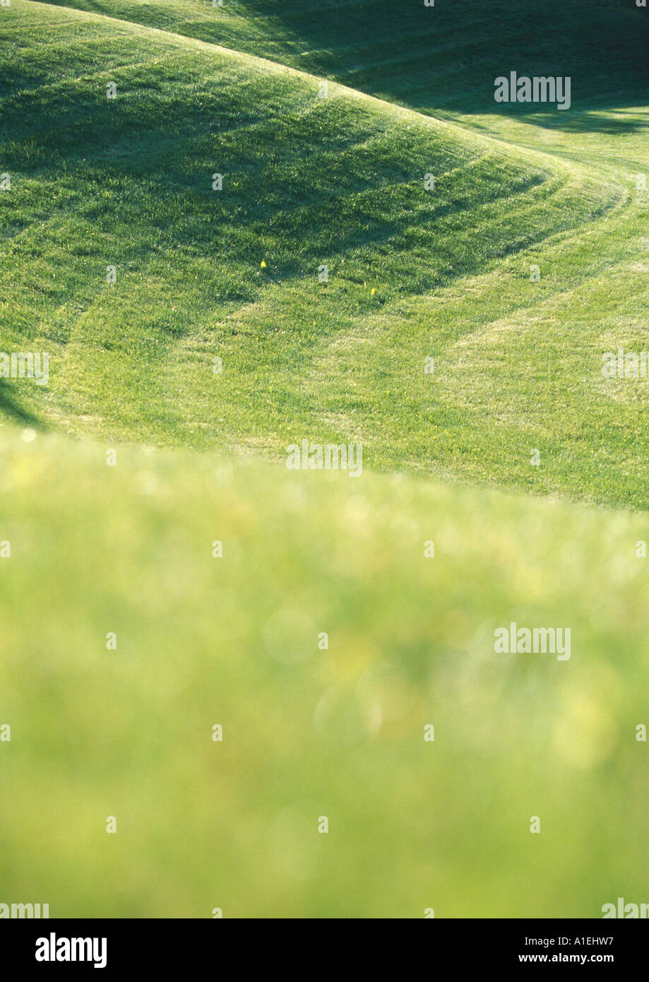 Fairway mowing pattern hi-res stock photography and images - Alamy