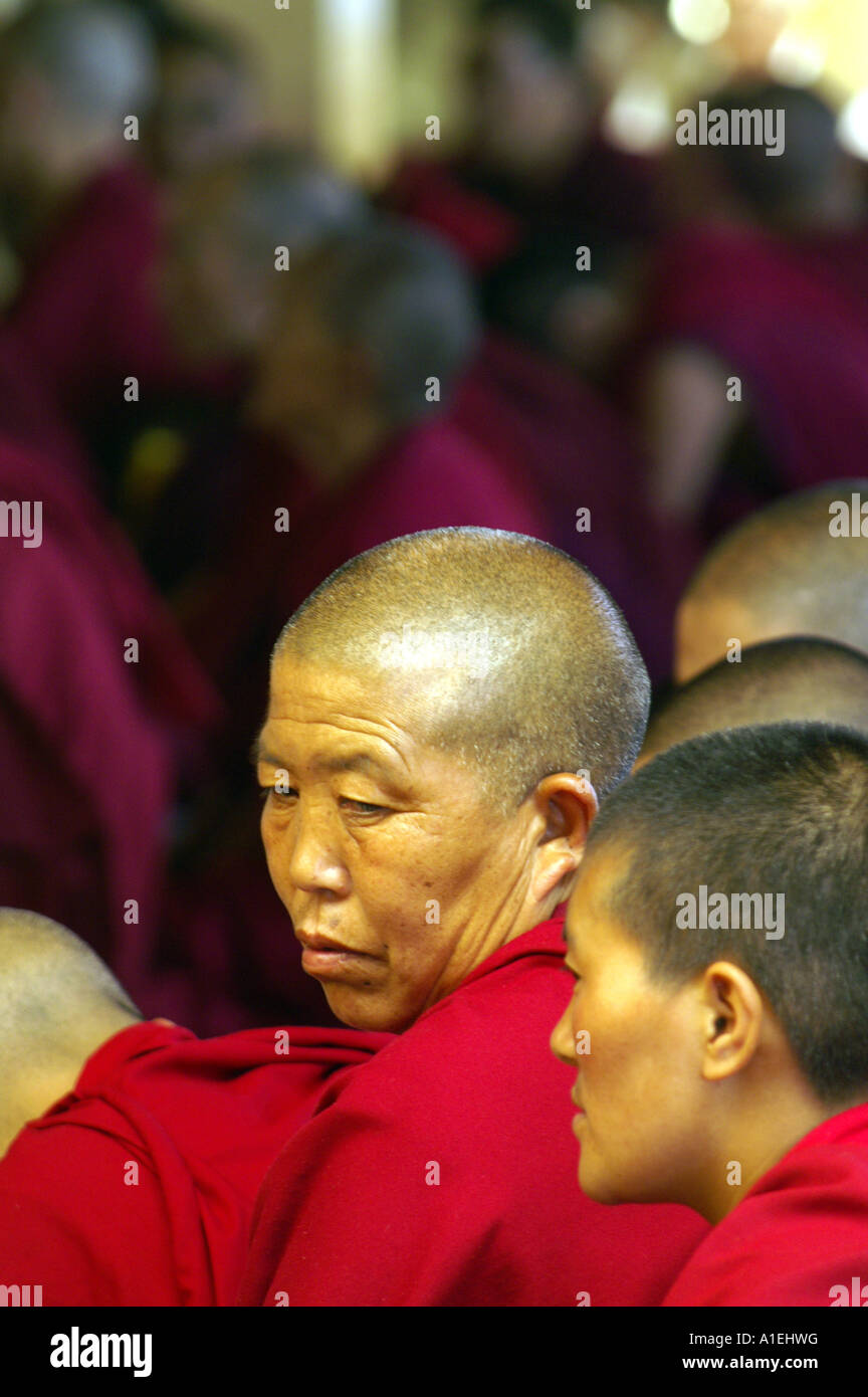 Monk looking back and discussing in Namgyal monastery during prayers ...