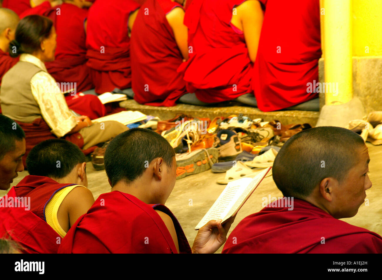 Buddhist monks in Namgyal monastery reading book during prayers, McLeod ...