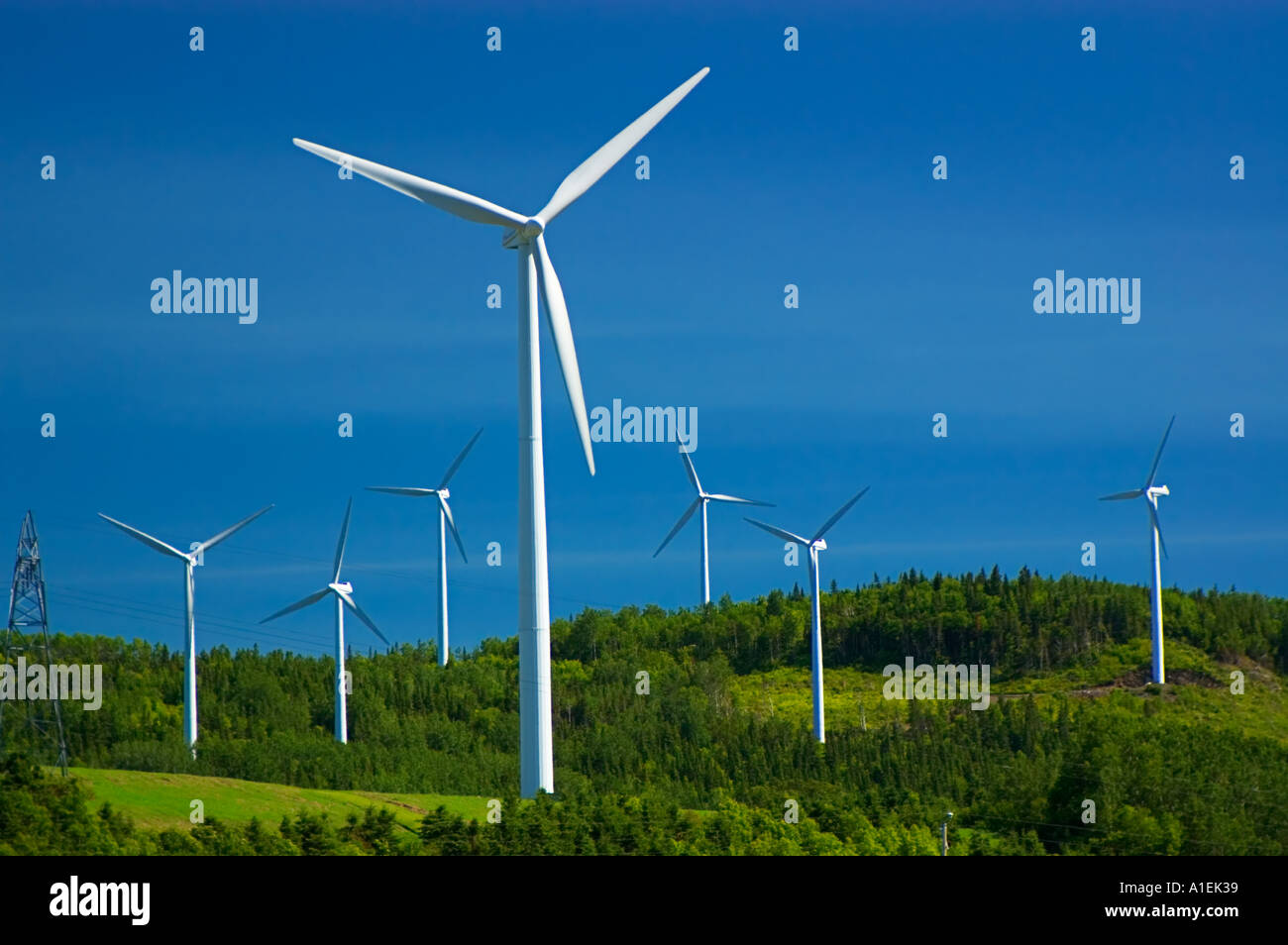 Cap Chat, Gaspe Peninsula, Quebec, Canada Stock Photo - Alamy