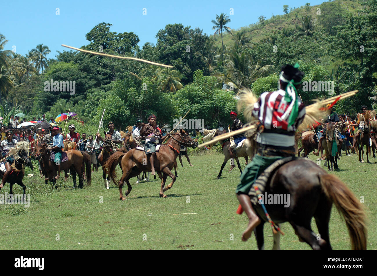 WEST SUMBA INDONESIA PASOLA RITUAL WAR Stock Photo - Alamy