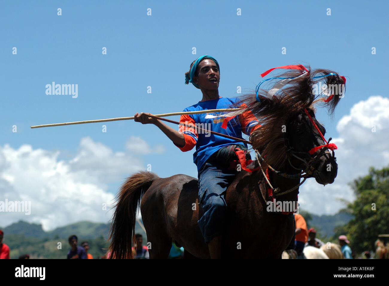 Sumba pony hi-res stock photography and images - Alamy