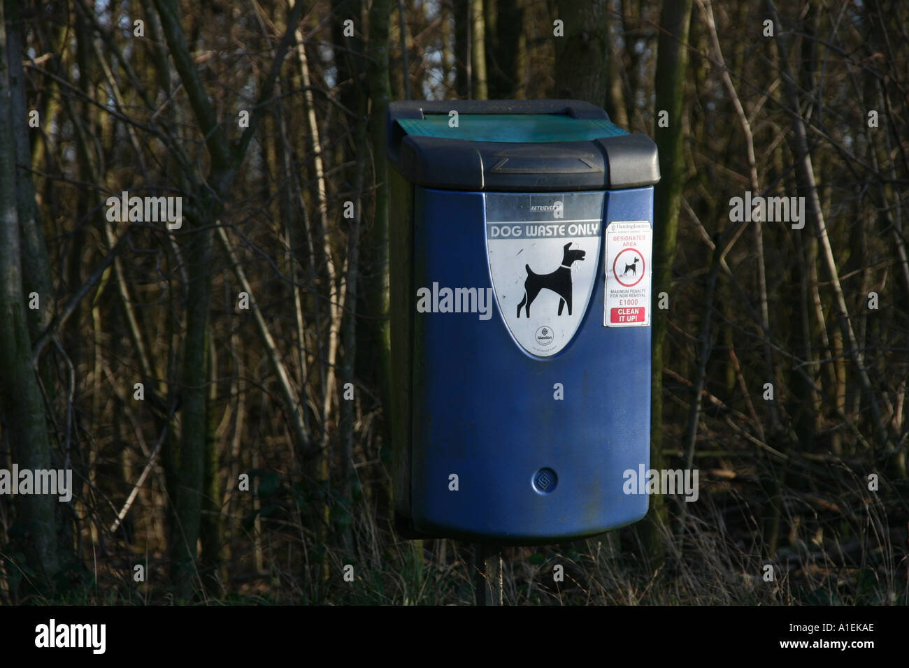 Dog waste fine hi-res stock photography and images - Alamy