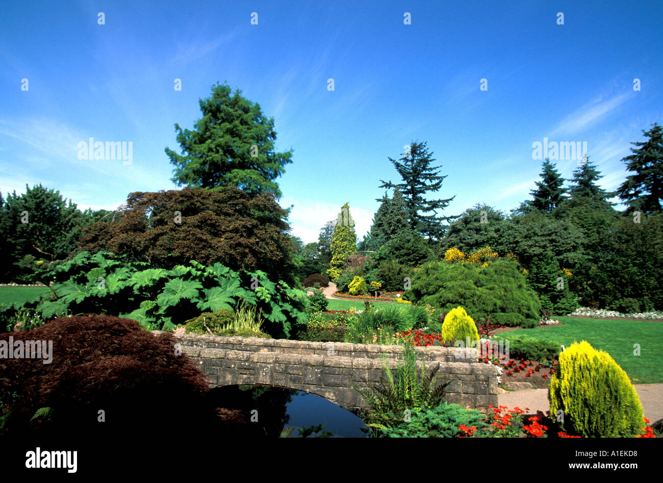 Vancouver Canada Queen Elizabeth Park Gardens Stock Photo - Alamy