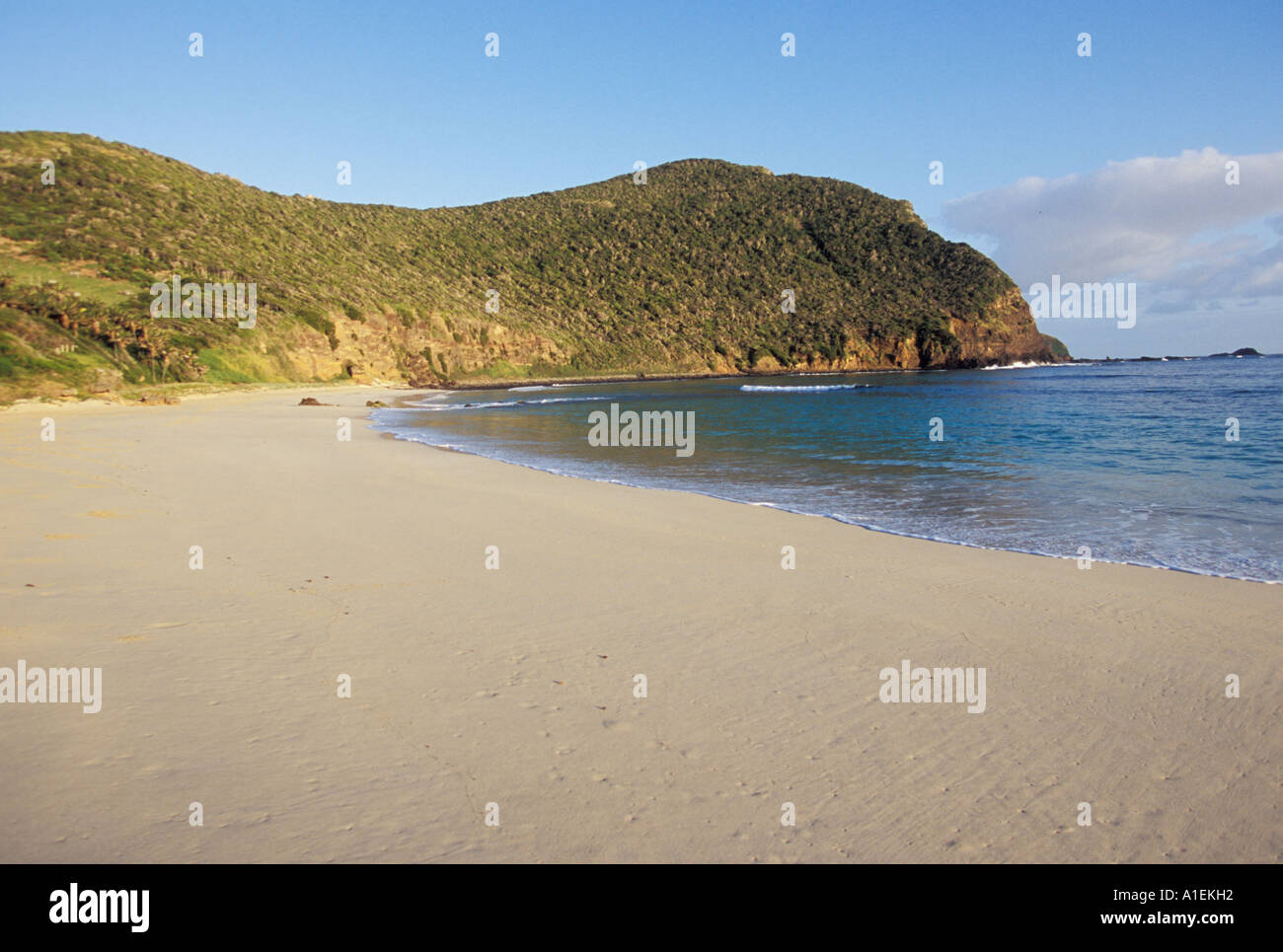 Ned s Beach Lord Howe Island NSW Australia Stock Photo - Alamy