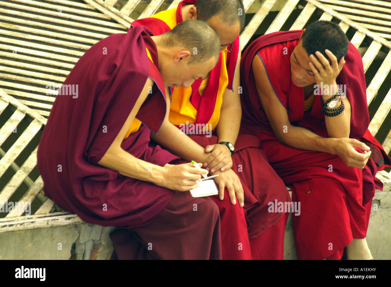 Group of monks discussing serious spiritual problem in Namgyal ...