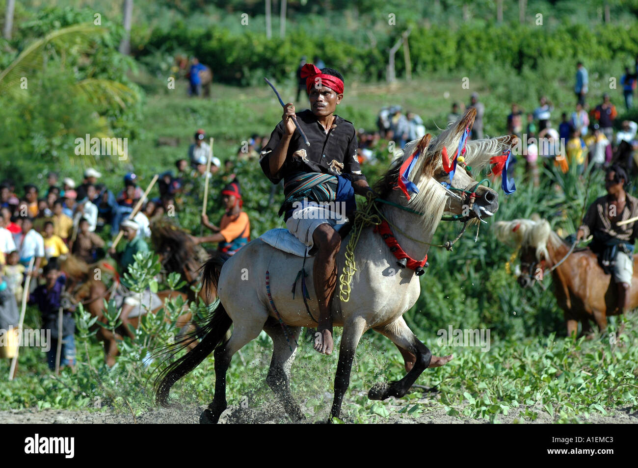 WEST SUMBA INDONESIA PASOLA RITUAL WAR Stock Photo - Alamy