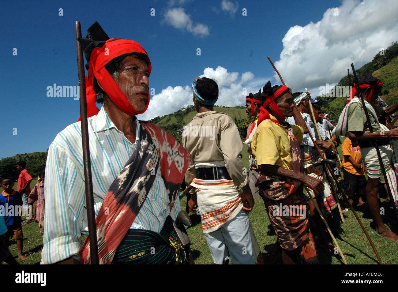 Sumba pony hi-res stock photography and images - Alamy